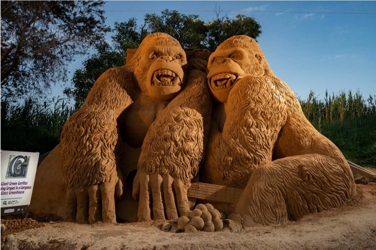 Boneo Discovery Park - Peninsula Kids