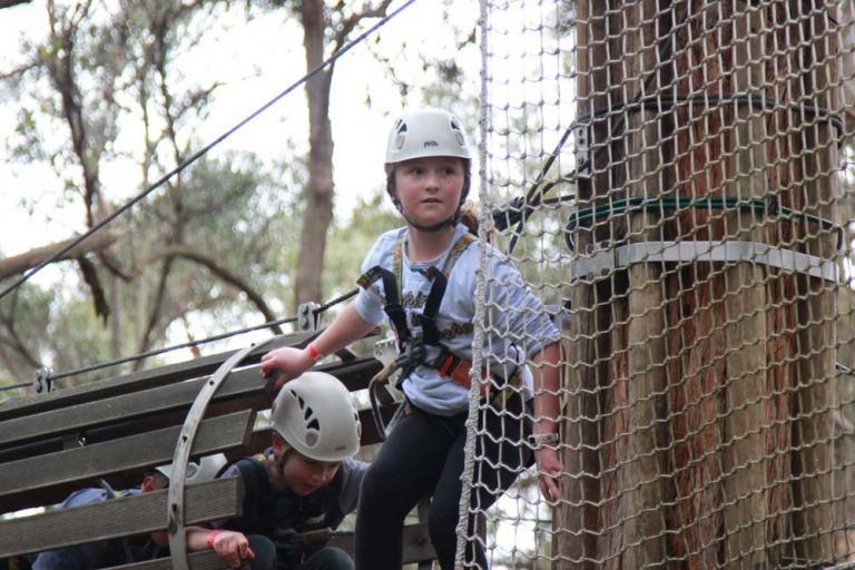 Enchanted Adventure Garden Nippers Tree Surfing Party - Peninsula Kids