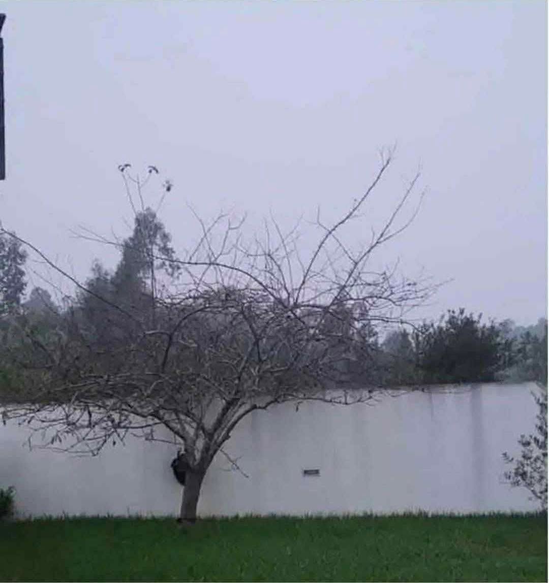 An interview with CBeebies & ABC Kids TV star Andy Day - Peninsula Kids