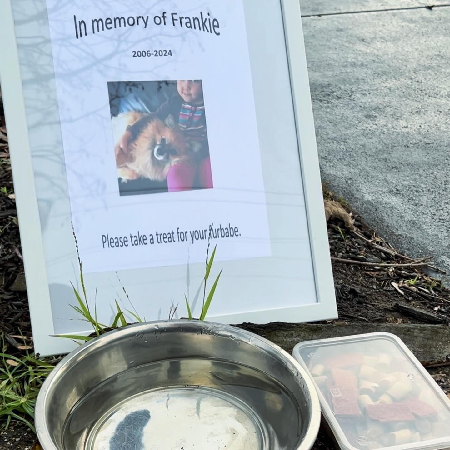 An interview with CBeebies & ABC Kids TV star Andy Day - Peninsula Kids